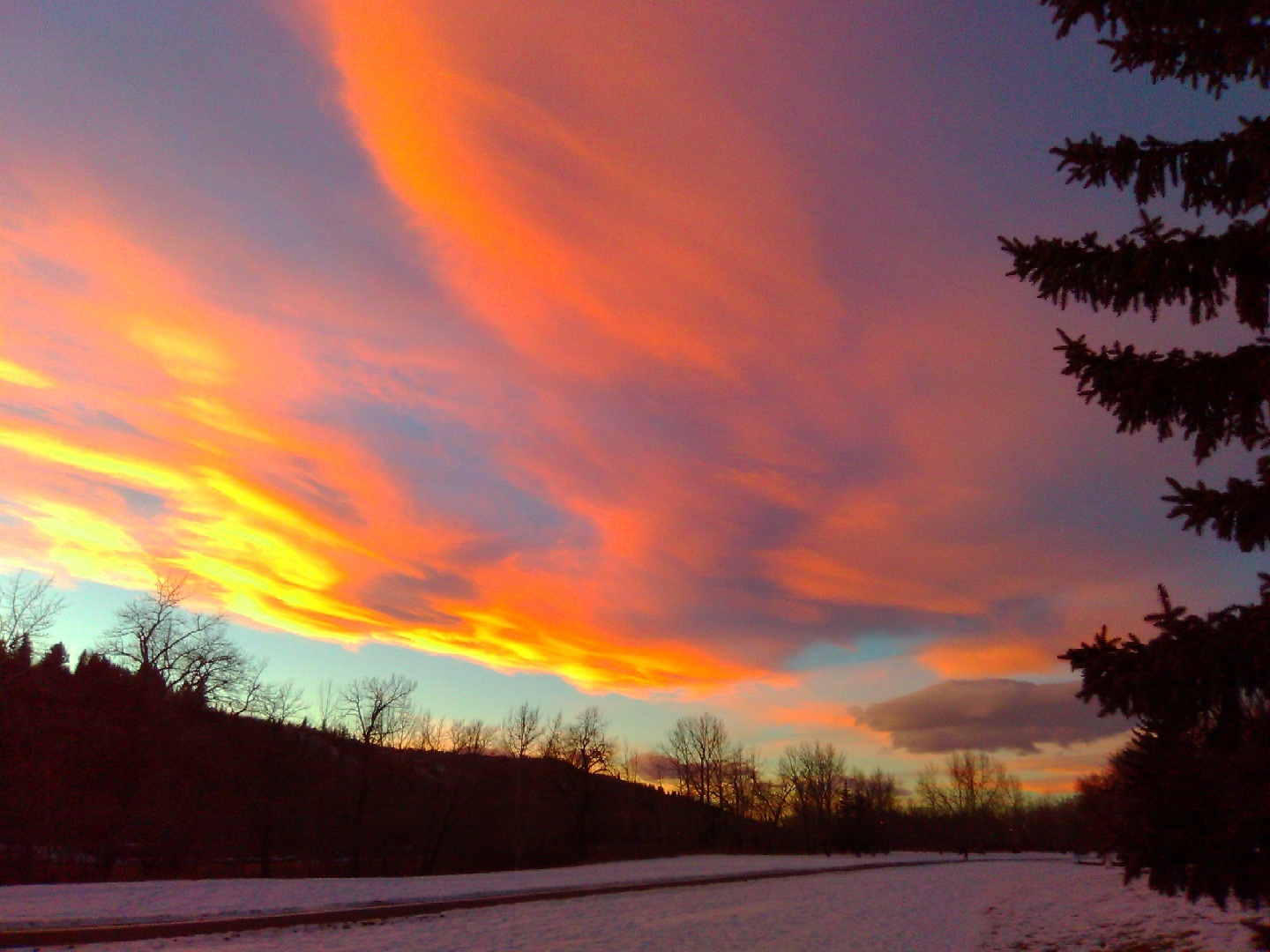 354 Point Mckay Gardens NW, Calgary AB | HonestDoor